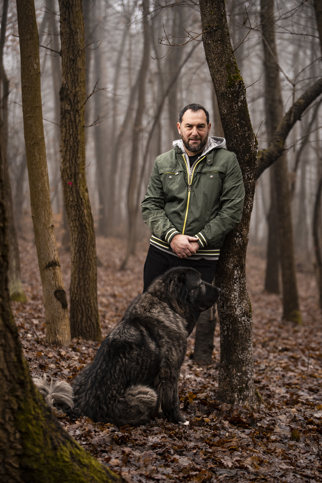 Korom Gábor - Kutyasuli