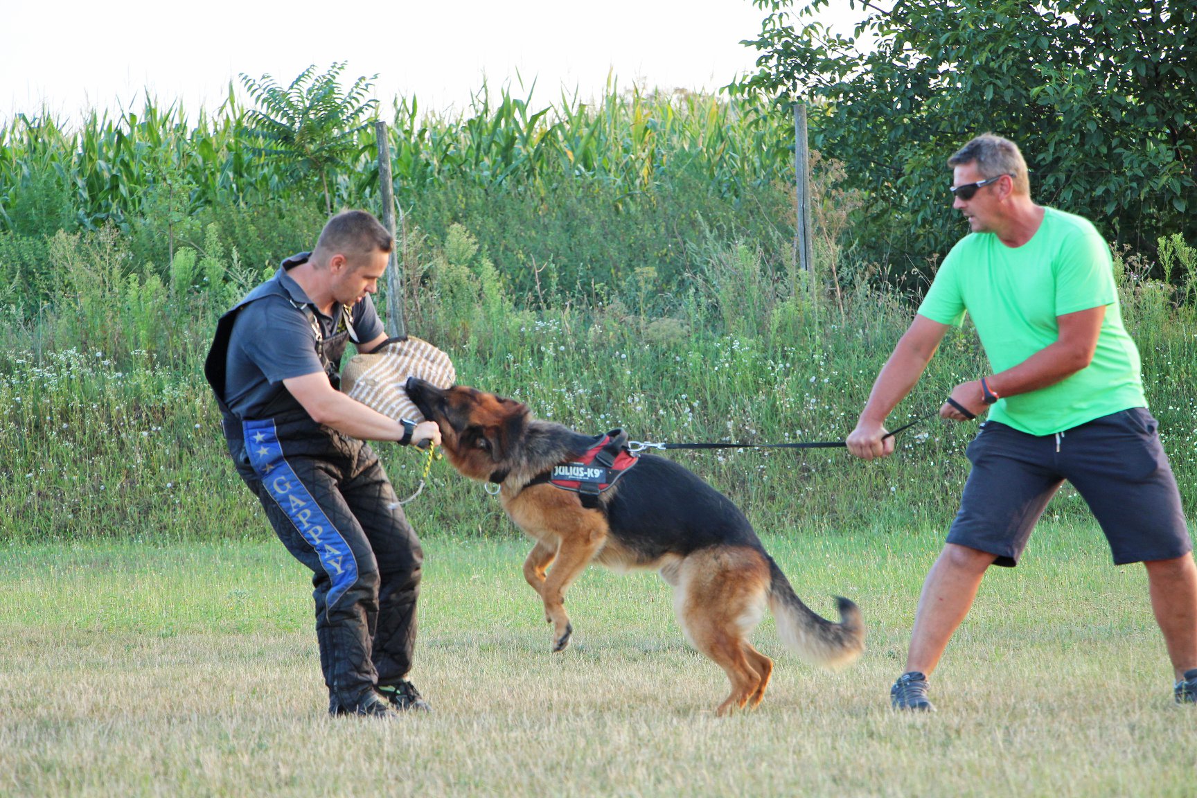 ÖKT – Kőbánya - Január 23. – Péntek este - Szakácsi Róbert - Kutyasuli
