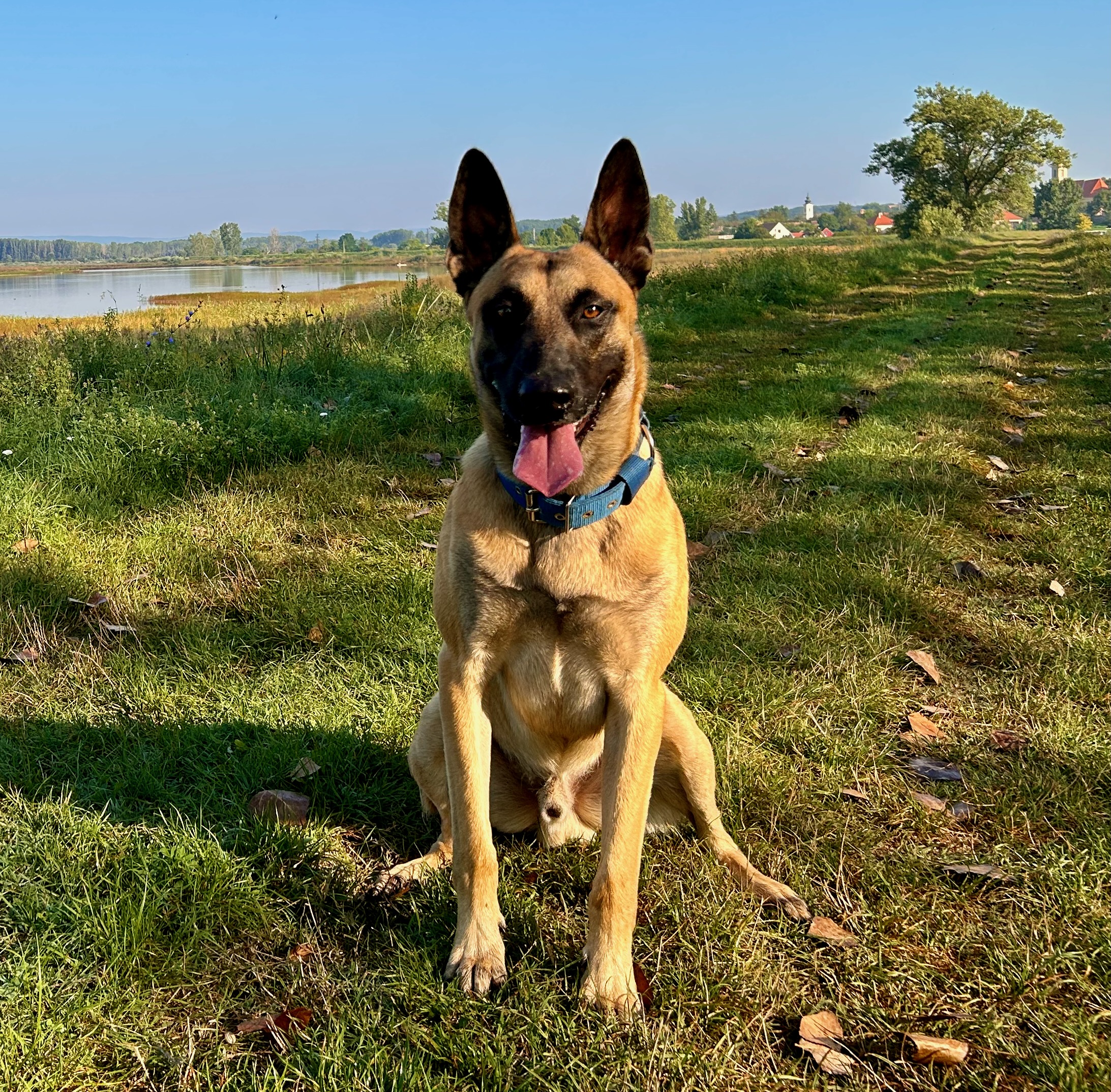 ÖKT – Kőbánya - Január 23. – Péntek este - Szakácsi Róbert - Kutyasuli